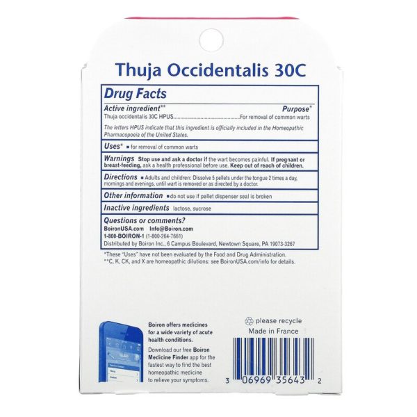 Thuja Occidentalis Wart Removal – EVEK-WELLNESS